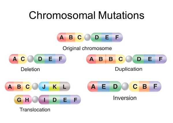 จริงหรือไม่ที่ Google กำลังสร้าง AI ให้กลายเป็น Skynet#15 Genome ...